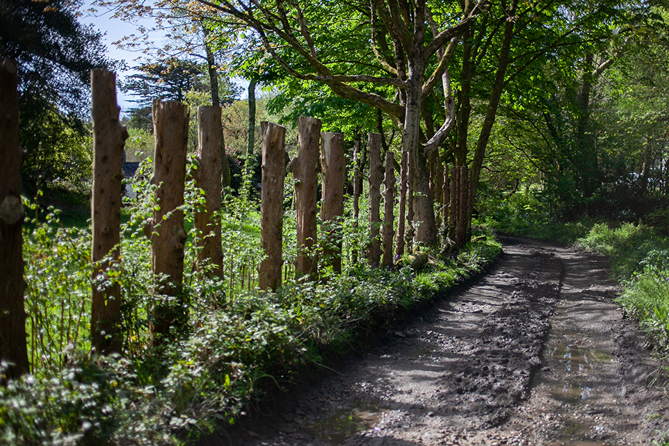 wildlife conservation in Cornwall Home - Cornish Wildlife Conservation